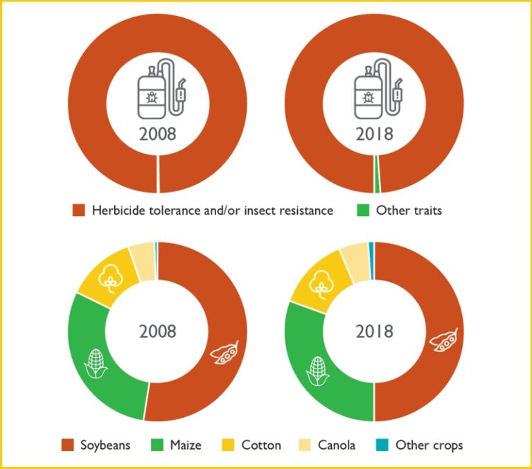 GMOs: crops and traits - Global Agriculture